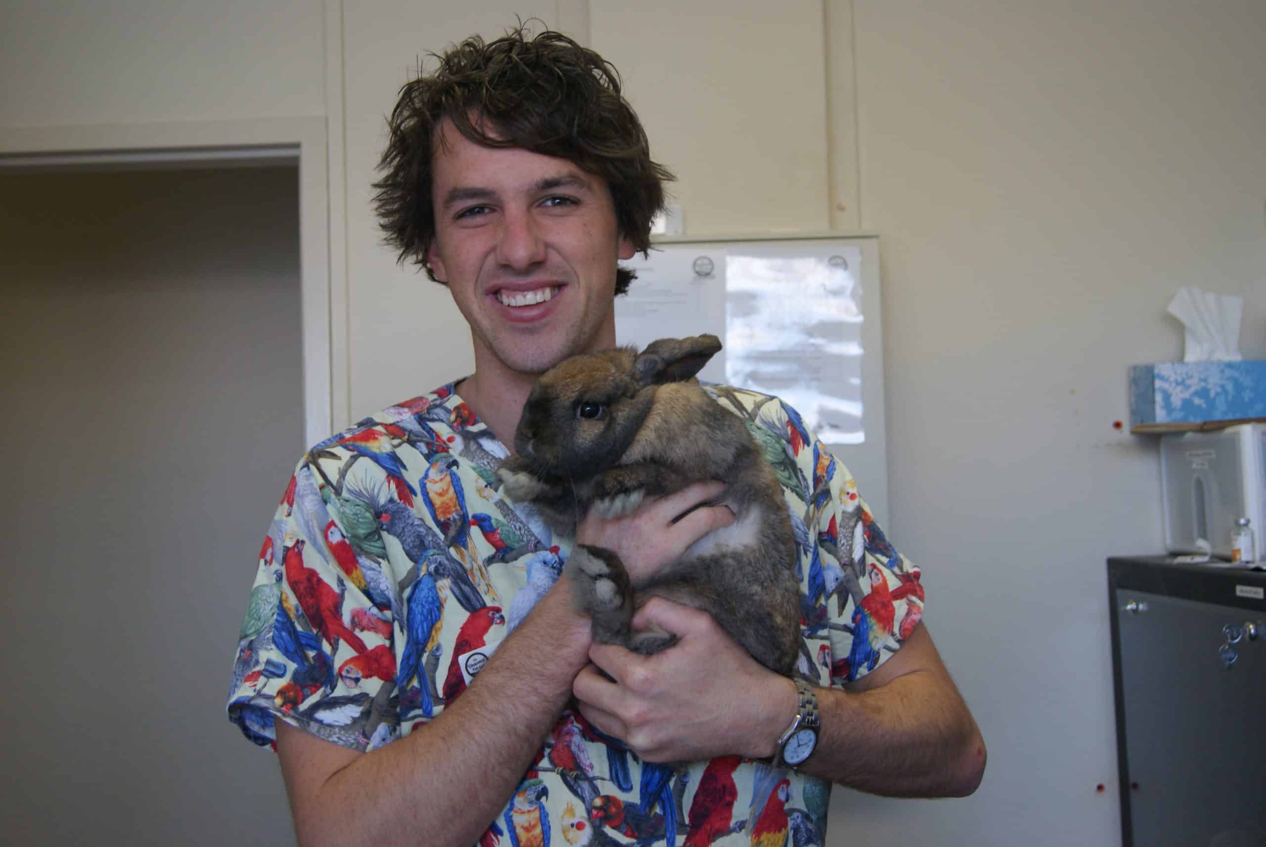Gastrointestinal Bloat in Rabbits - Vetafarm