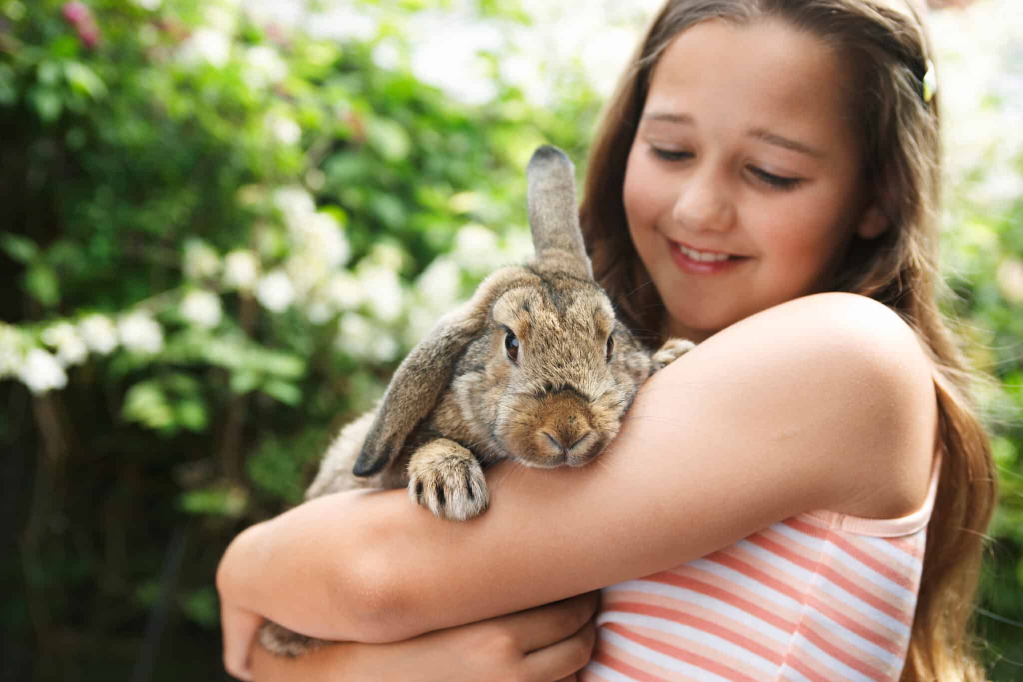 Vetafarm | Vet-Designed Pet Health Products