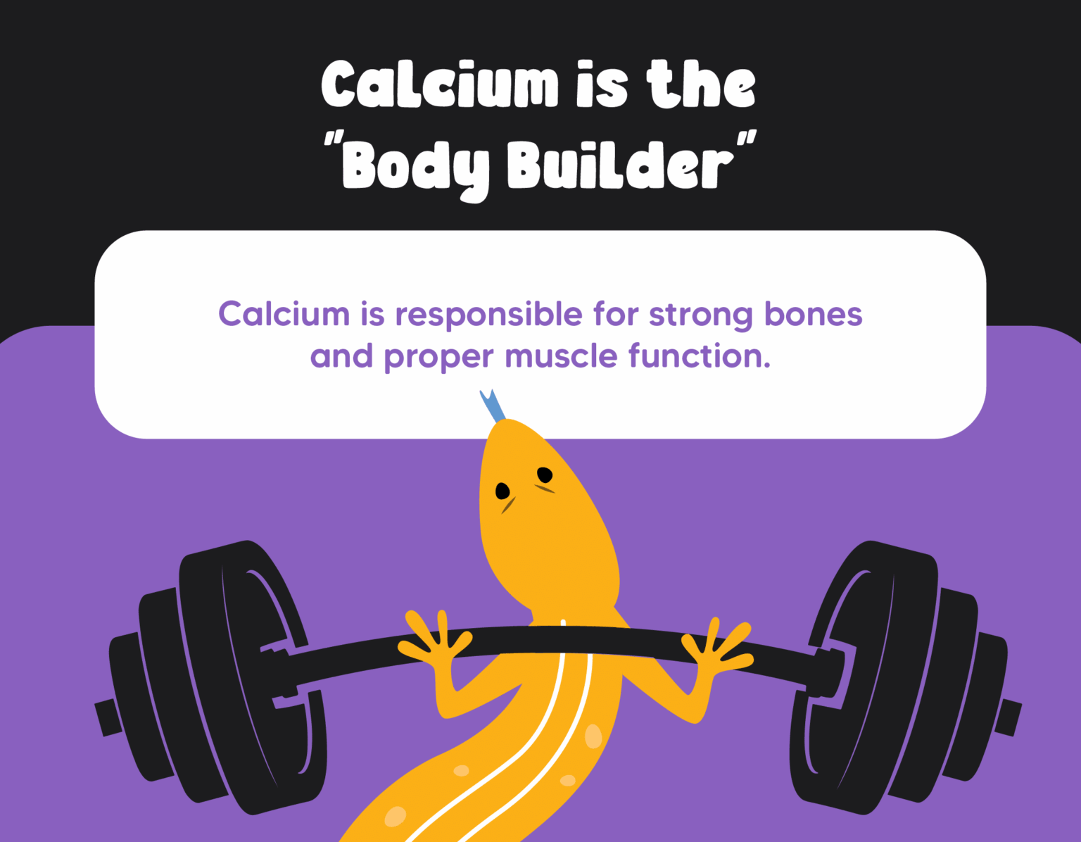 The Truth About Reptile Calcium & Lighting - Vetafarm