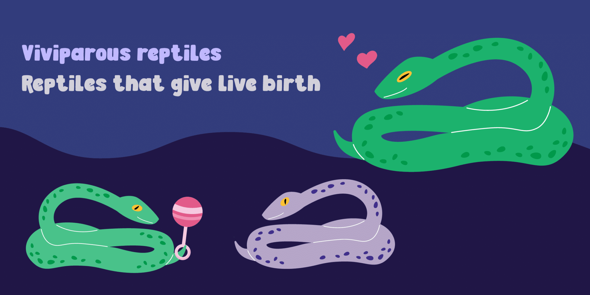 Reptile Reproduction: Why Not Every Reptile Lays Eggs - Vetafarm