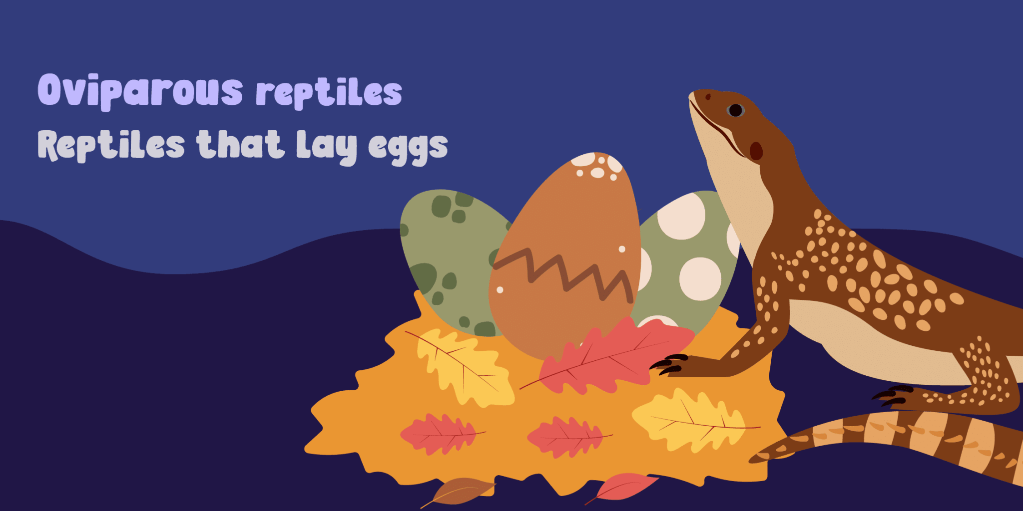Reptile Reproduction: Why Not Every Reptile Lays Eggs - Vetafarm