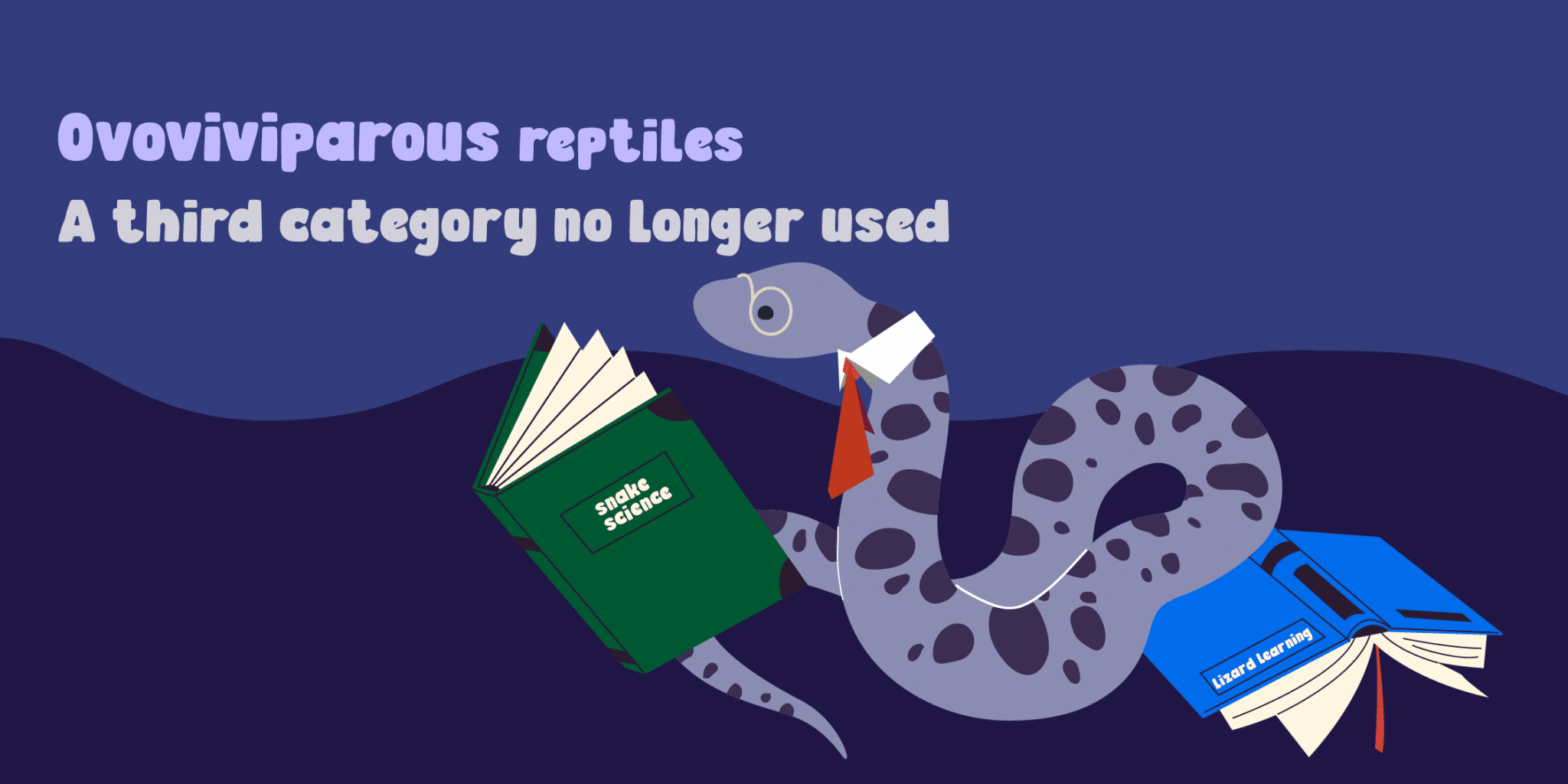Reptile Reproduction: Why Not Every Reptile Lays Eggs - Vetafarm